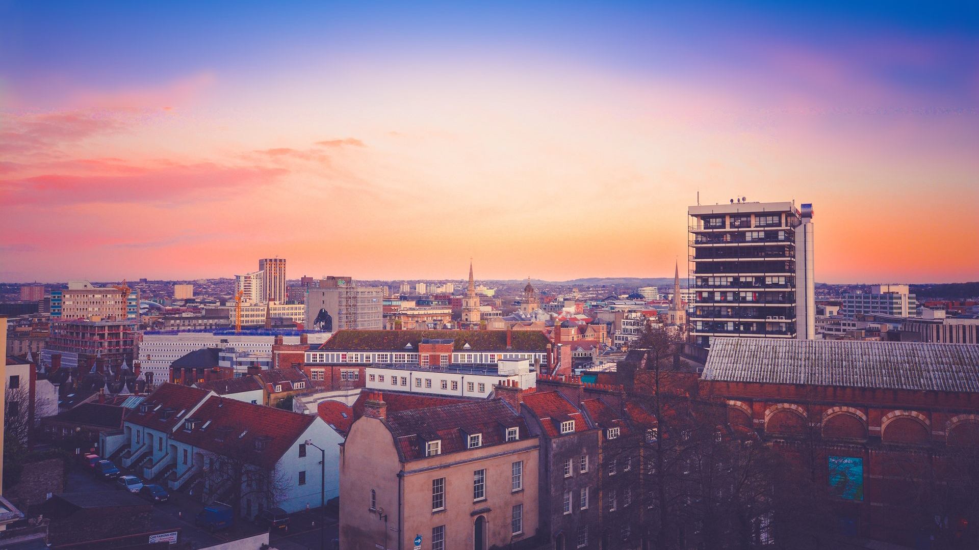 SDF Staff - Sustainable Development Foundation